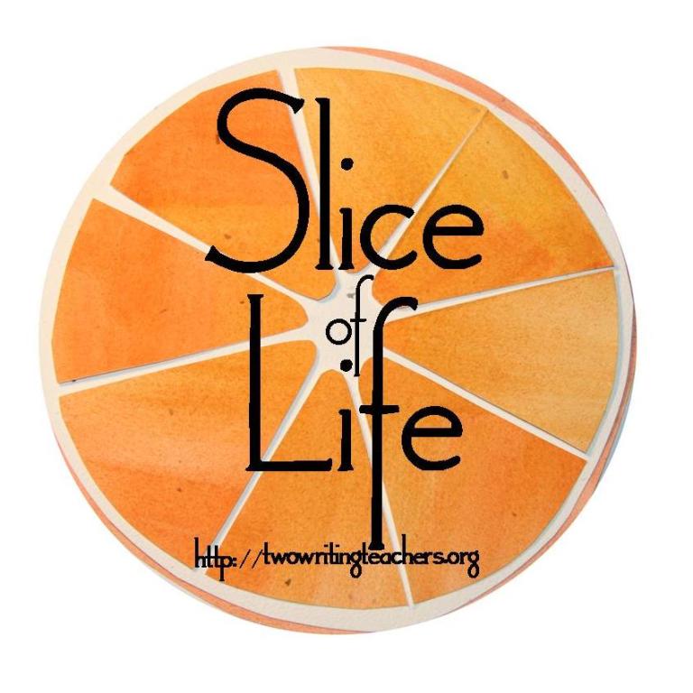 TWO WRITING TEACHERS – A meeting place for a world of reflective writers.