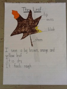 Shared Writing 101: A Crash Course in Writing Together – TWO WRITING ...