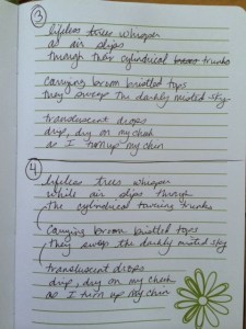 How to Write a Poem: An Exercise – TWO WRITING TEACHERS