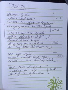 How to Write a Poem: An Exercise – TWO WRITING TEACHERS