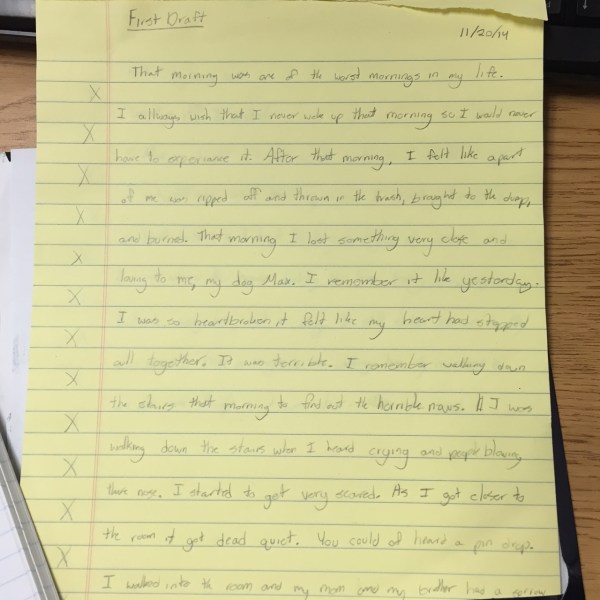 Flash drafting our way to a “best first draft”. – TWO WRITING TEACHERS