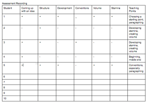 Ideas for planning Small Group Instruction – TWO WRITING TEACHERS