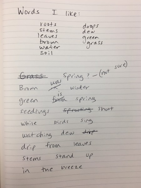 See Something Where There is Nothing: A Poetry Lesson – TWO WRITING ...