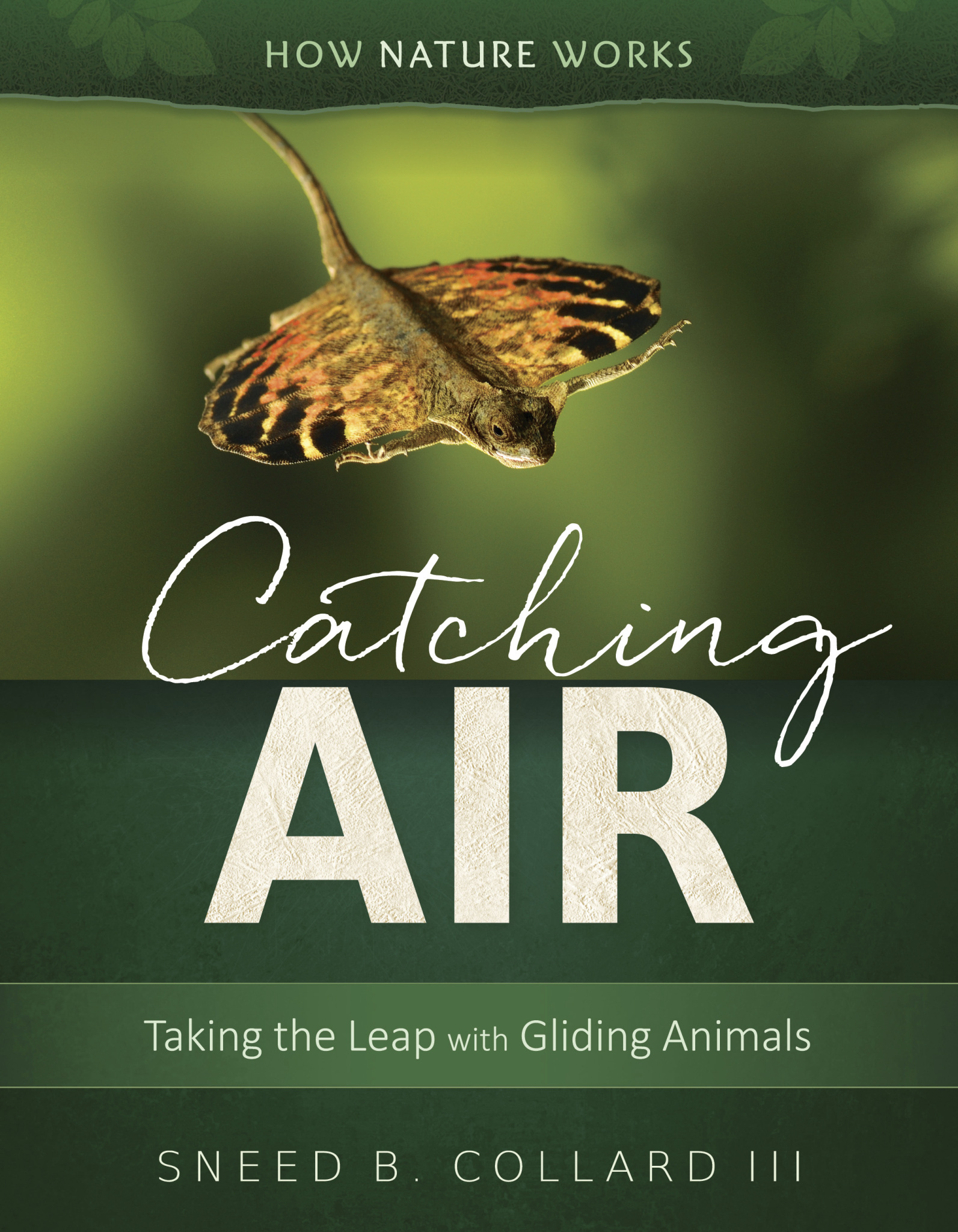 Creating Teaching Tools for Picture Books – TWO WRITING TEACHERS