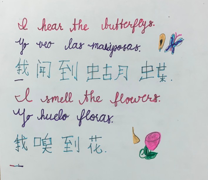 Finding Interdisciplinary Opportunities in Writing Workshop – TWO ...