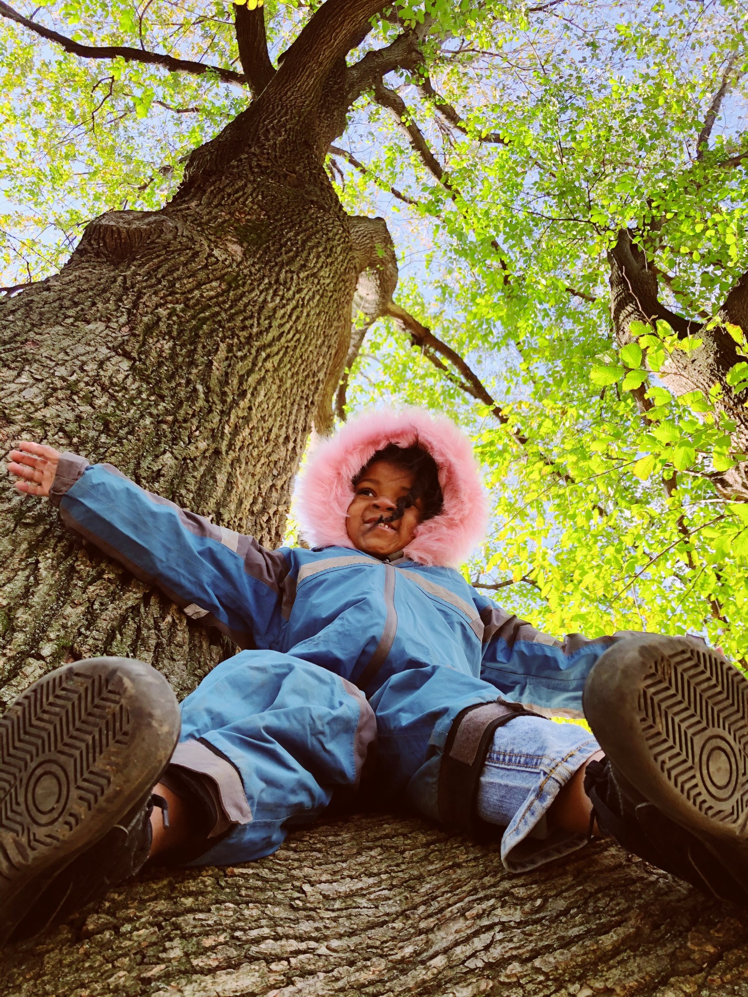 Kindergarten Forest School: Integrating Writing with Nature and Play ...