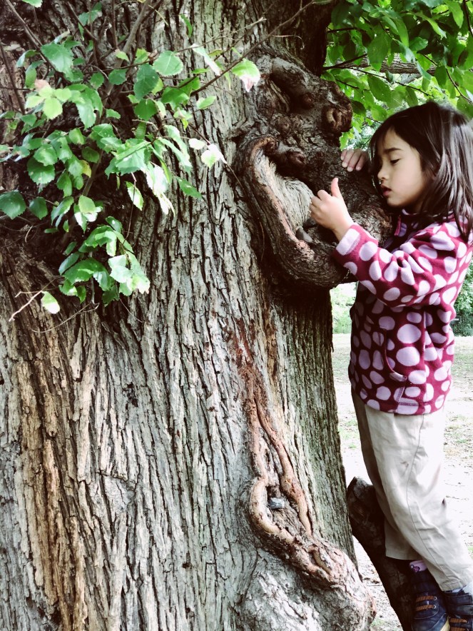 Kindergarten Forest School: Integrating Writing with Nature and Play ...