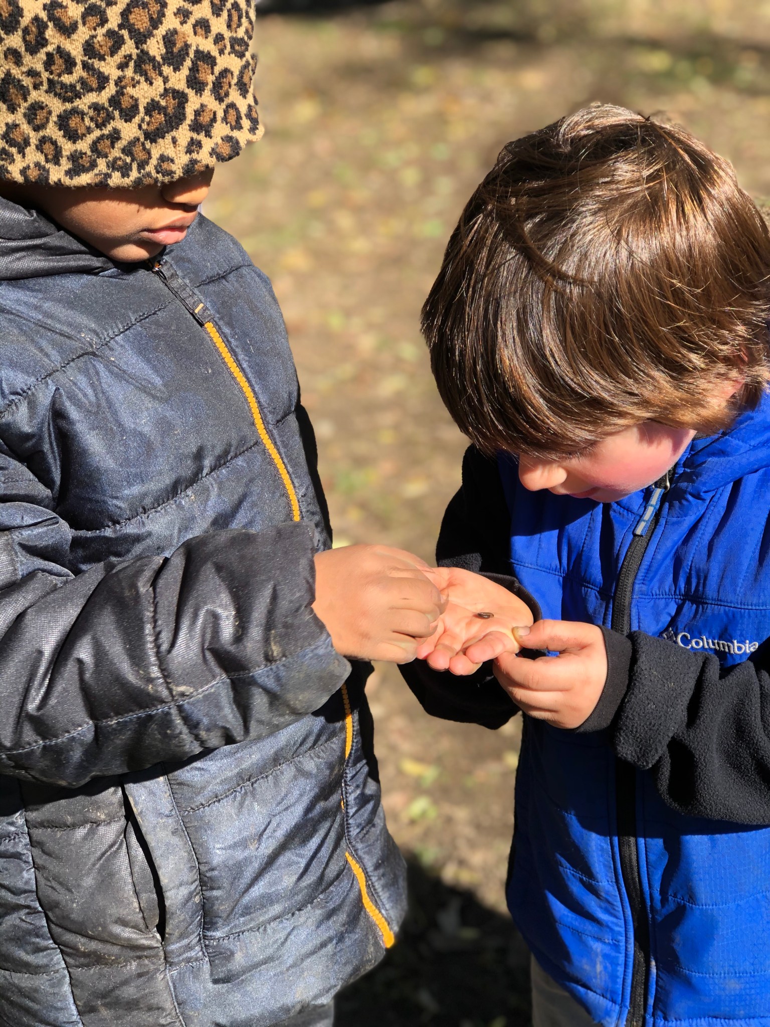 Kindergarten Forest School: Integrating Writing with Nature and Play ...